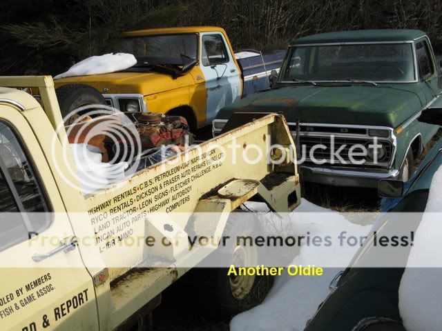 Logger Box pics - Ford Truck Enthusiasts Forums