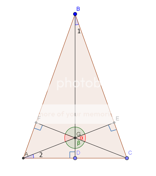 Planimetrija. Rasti trikampio plotą.