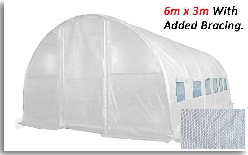 6m x 3m Poly Tunnel Polytunnel Pollytunnel Polly Tunnel Greenhouse ...