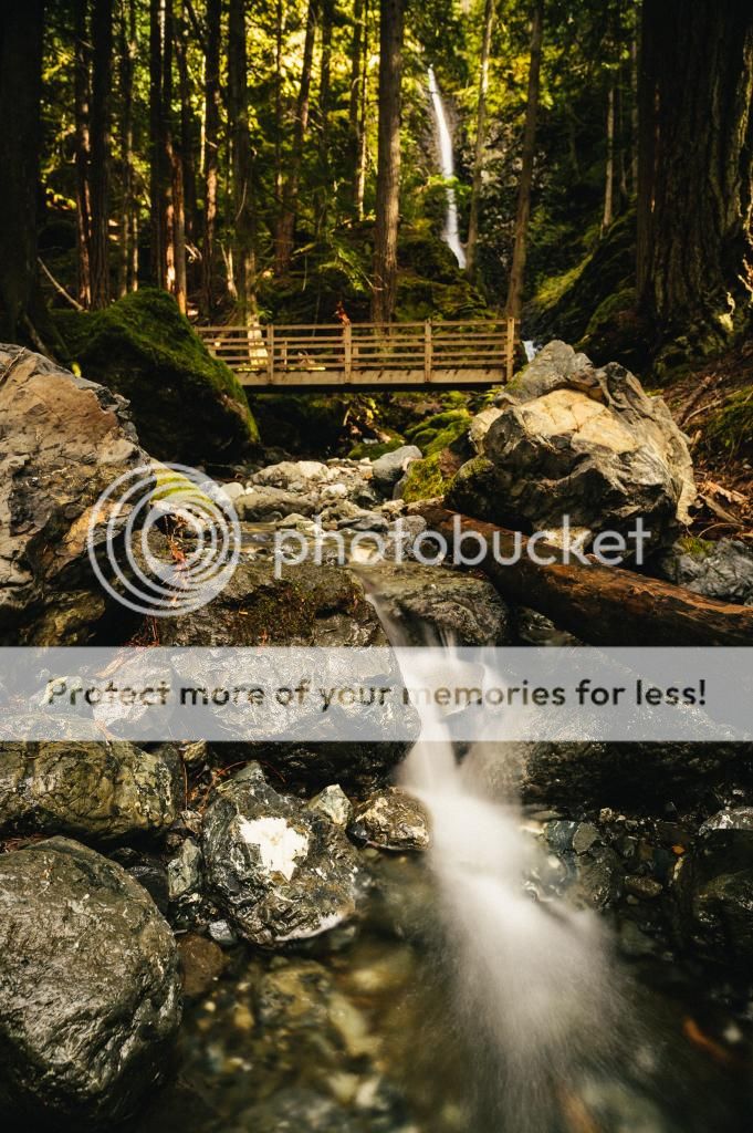 Lupin Falls - FM Forums