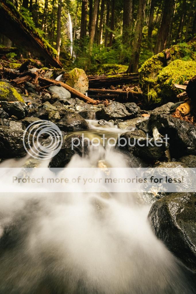 Lupin Falls - FM Forums