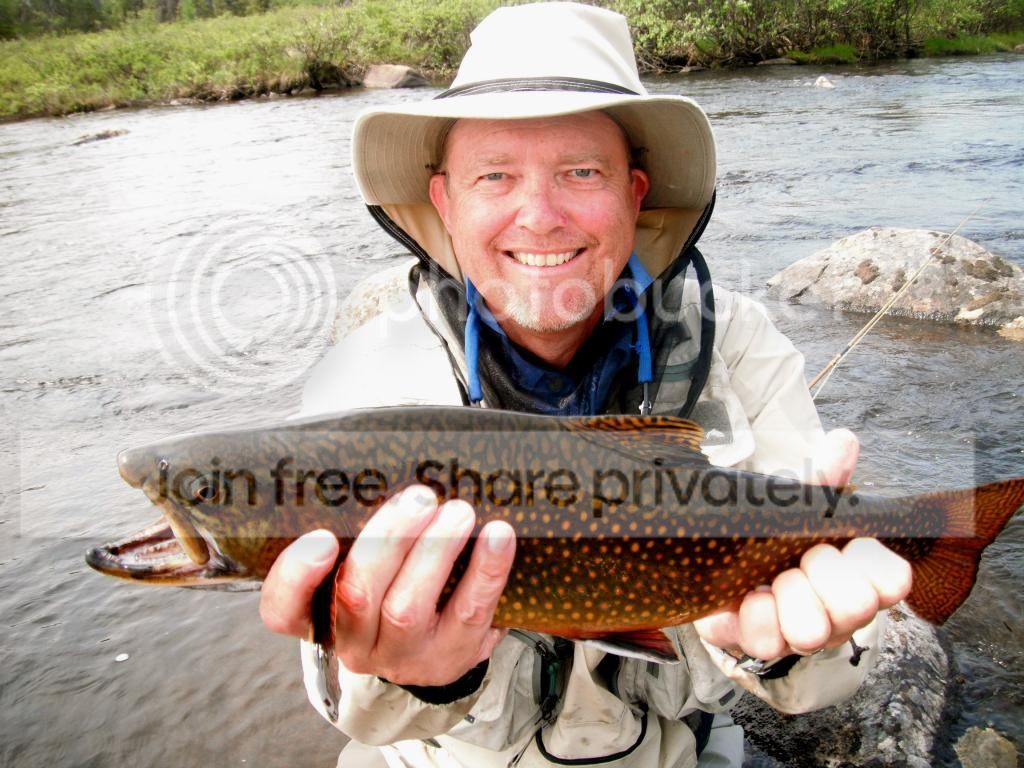 Brookies, Brookies, and More Brookies (pic heavy) - The Classic Fly Rod ...